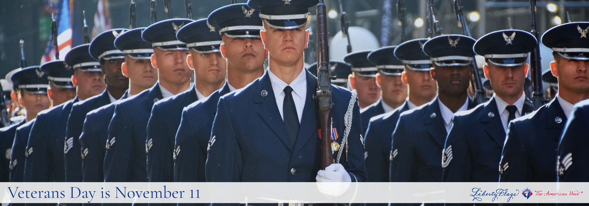 What Is the Difference Between Veterans Day and Memorial Day? | LIBERTY ...