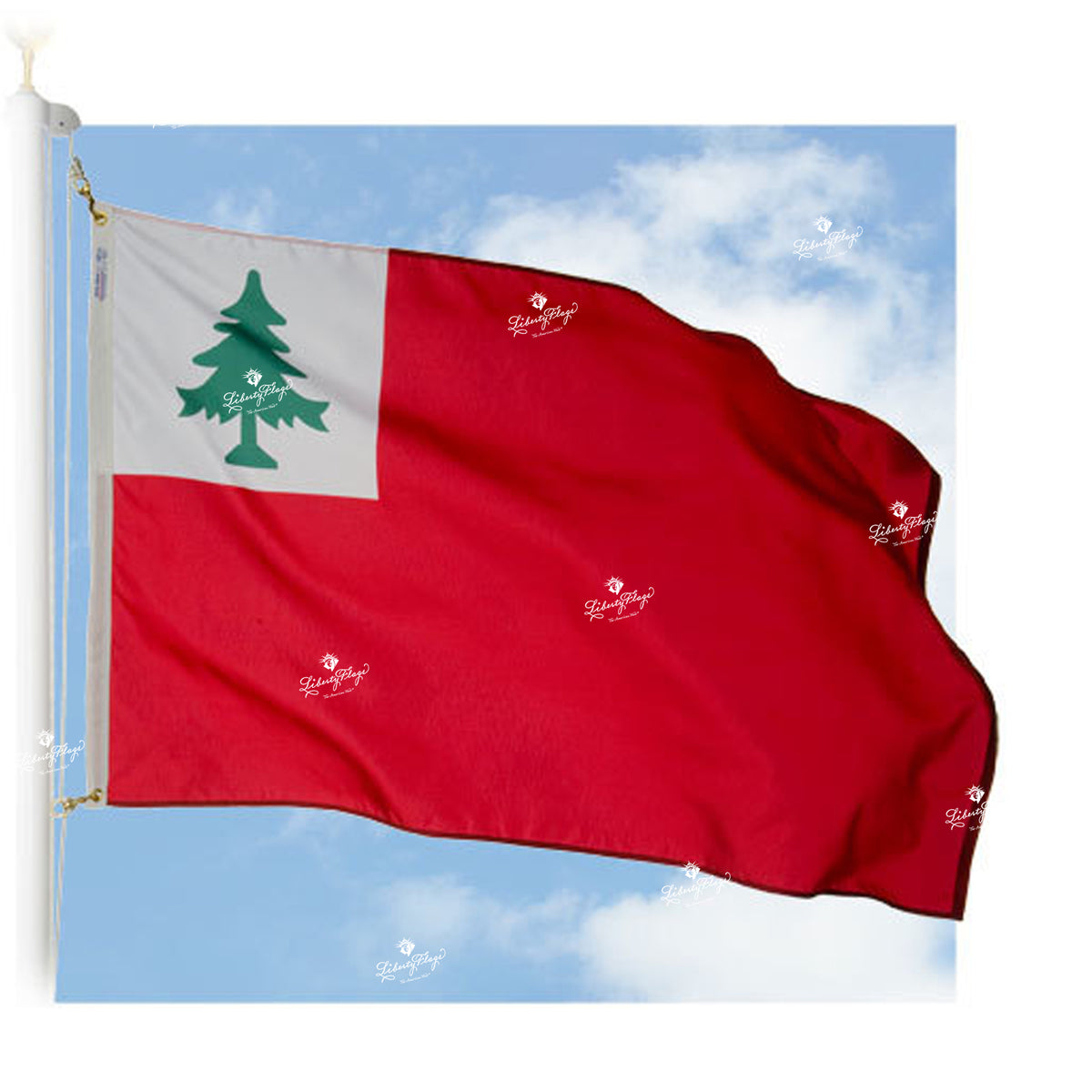 Continental Outdoor Historic Flags | LIBERTY FLAGS, The American Wave®
