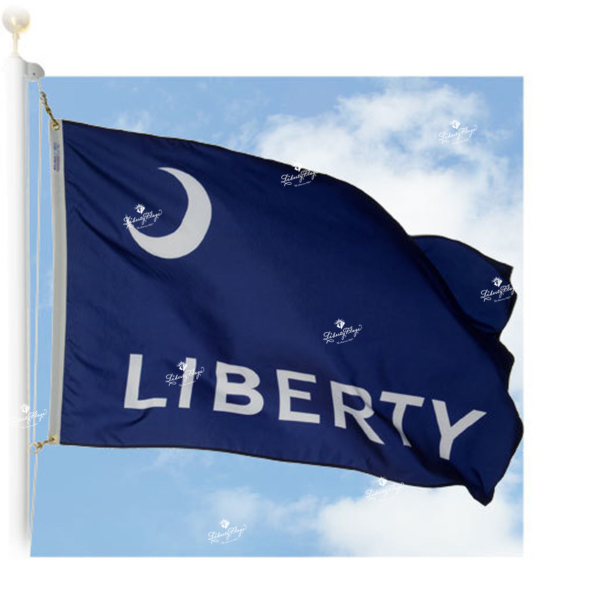 Fort Moultrie Outdoor Historic Flags | LIBERTY FLAGS, The American Wave®