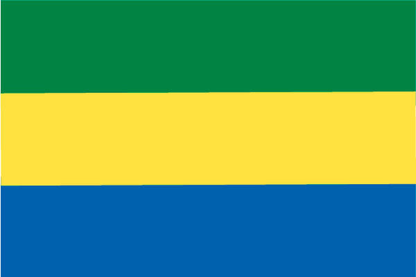 Gabon Outdoor Flags – LibertyFlags.com